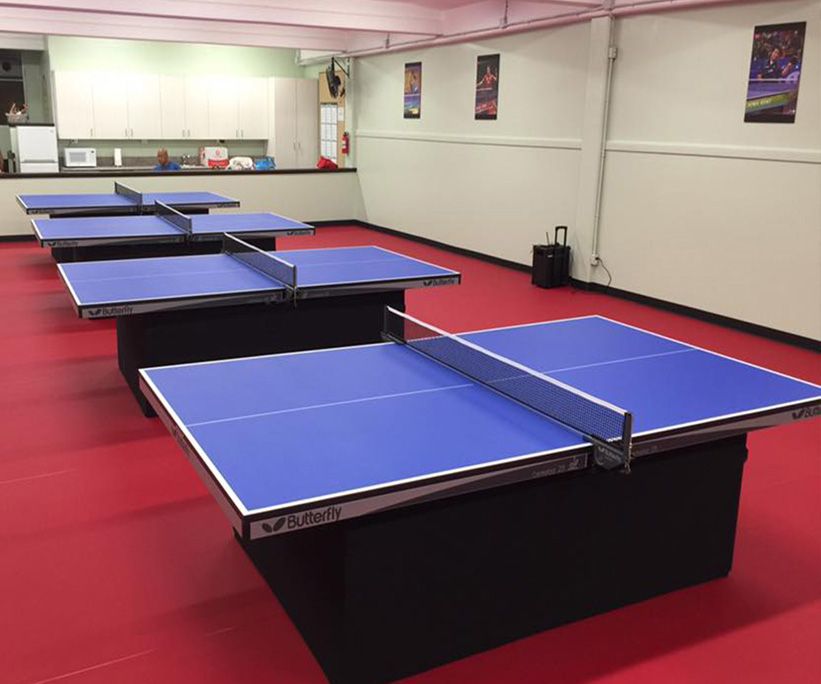 PVC Table Tennis Flooring,Table Tennis Court Flooring– Canvas embossed